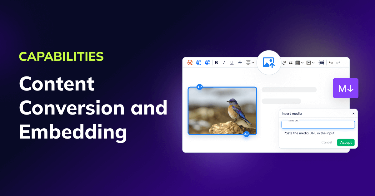 Content Conversion and Embedding | CKEditor 5 Features